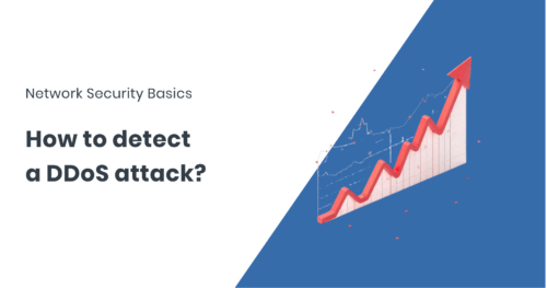 How to tell if you’re under a DDoS attack | FastNetMon Official site